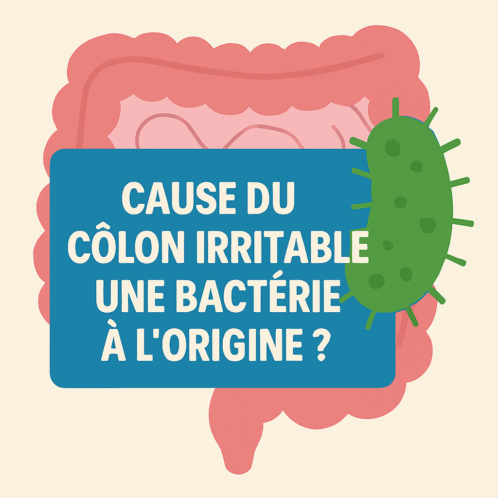Cause du colon irritable : une bactérie à l'origine